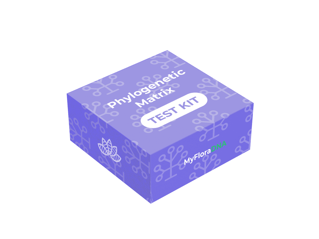 Phylogenetic Matrix | MyFloraDNA