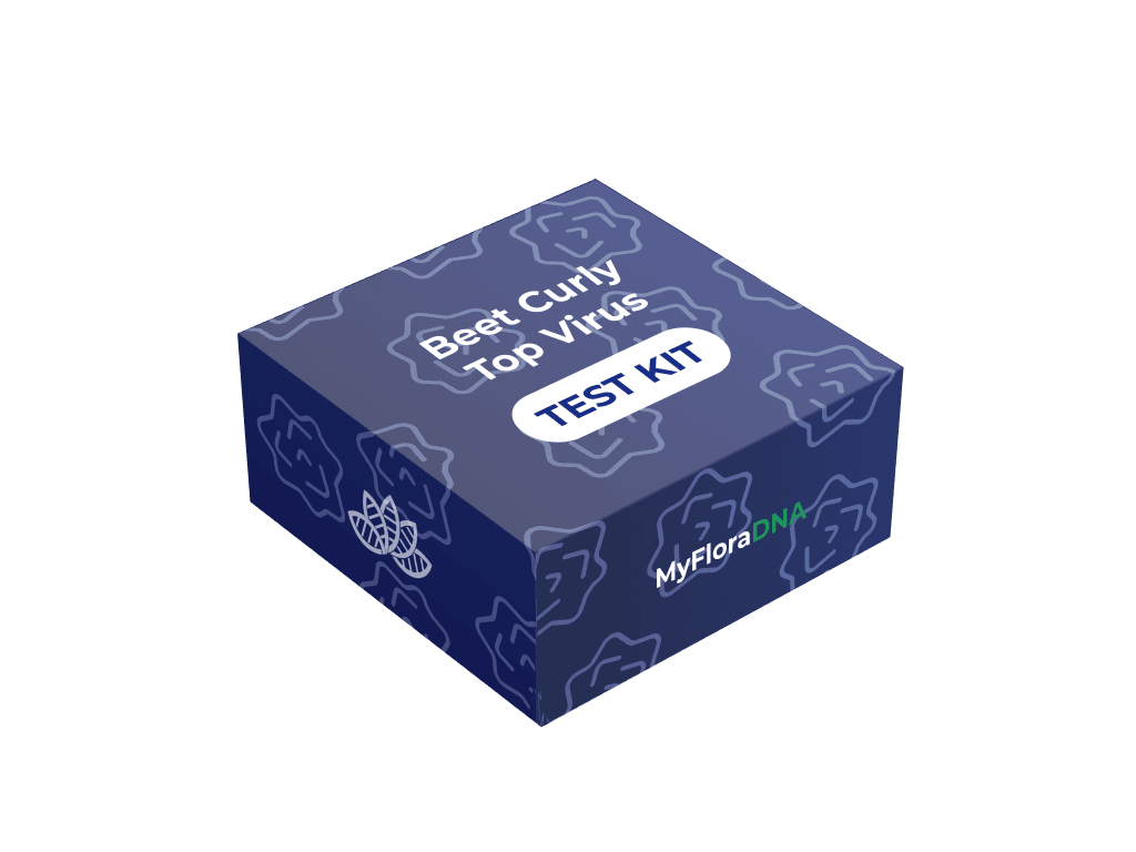 Beet Curly Top Virus | MyFloraDNA